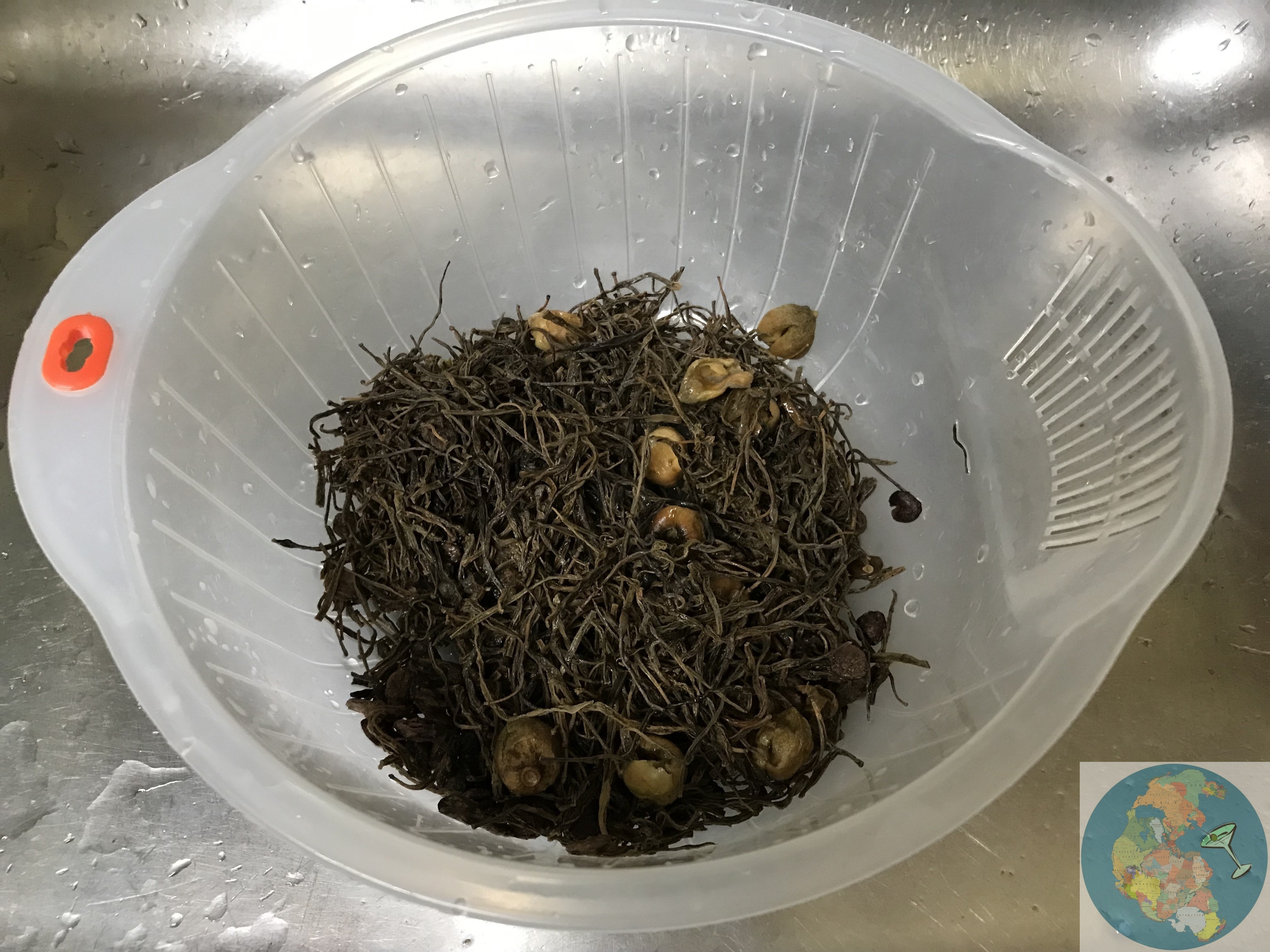 Desert Cuisine: Rajasthani Ker Sangri – Purba Feasts